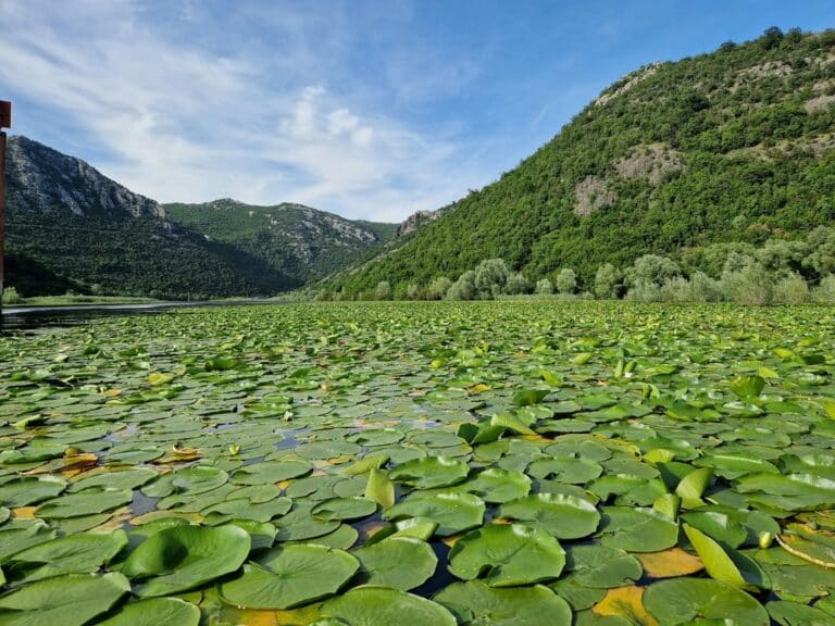Nationaal Park Lake Skadar - Top Tips